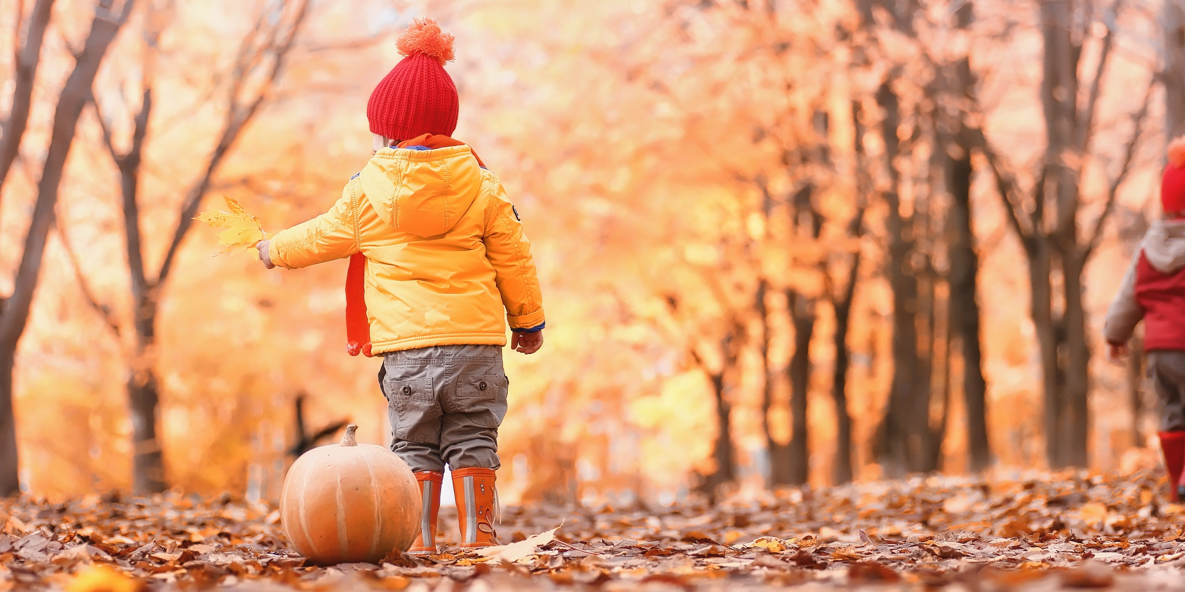Children are walking in nature. Twilight kids are walking around the ...